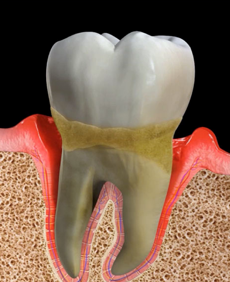 Especialidade Periodontia · GJC Odontologia